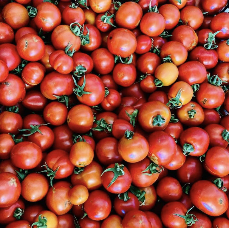 Dry Farmed Early Girl Tomatoes (12 lb box) San Francisco – Mariquita Farm