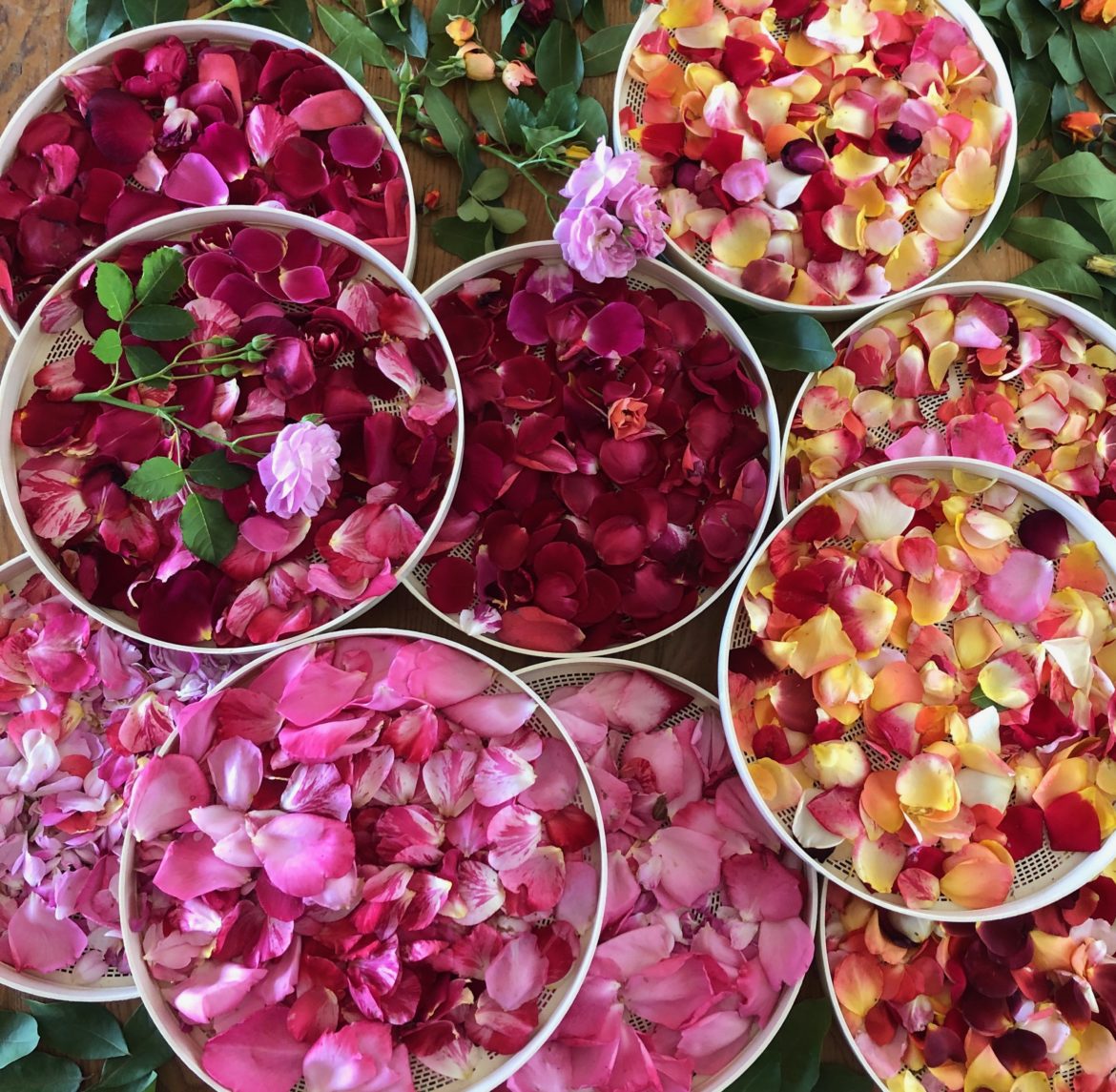 Confetti Rose Petals (2 X 12 g package) East Bay/Peninsula – Mariquita Farm