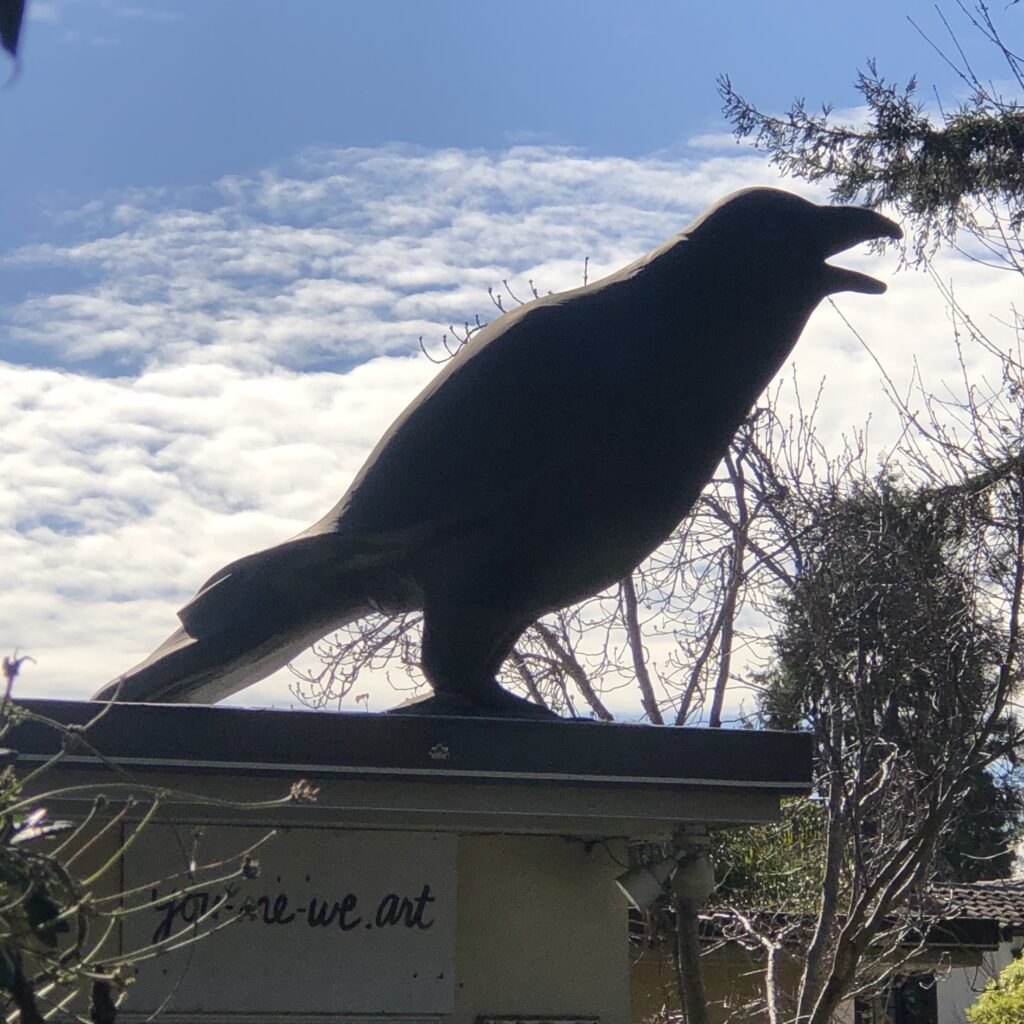 Joyful Roaming Through the Countryside – Mariquita Farm