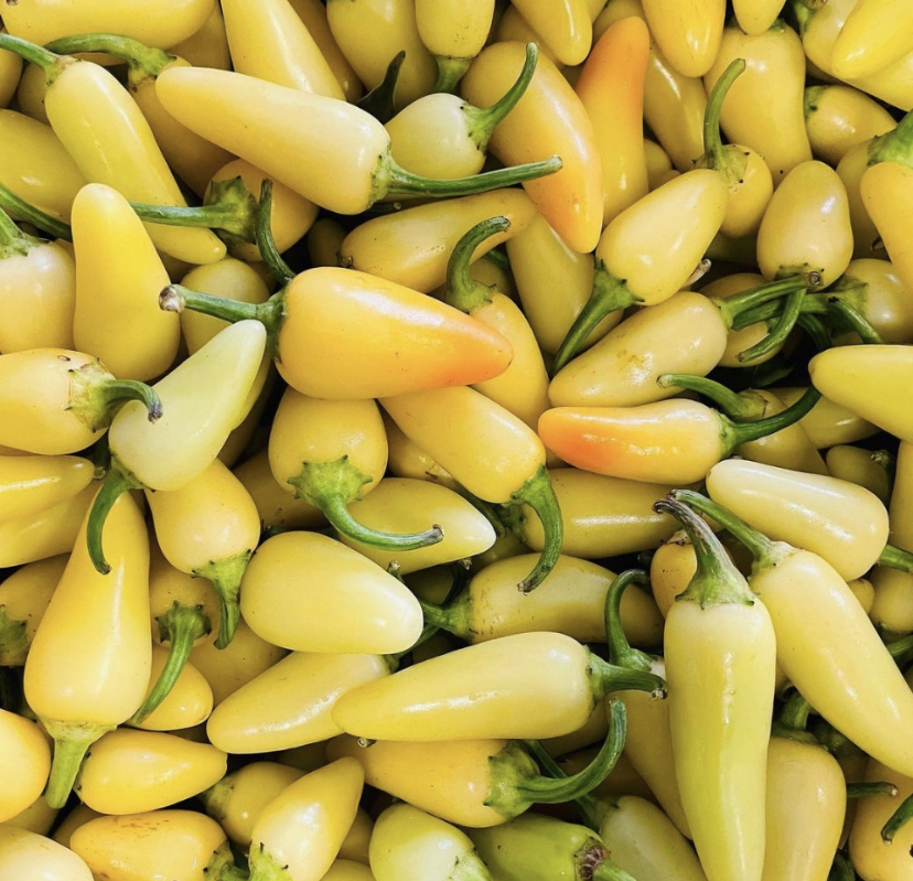 Glimpses of Late Summer – Mariquita Farm