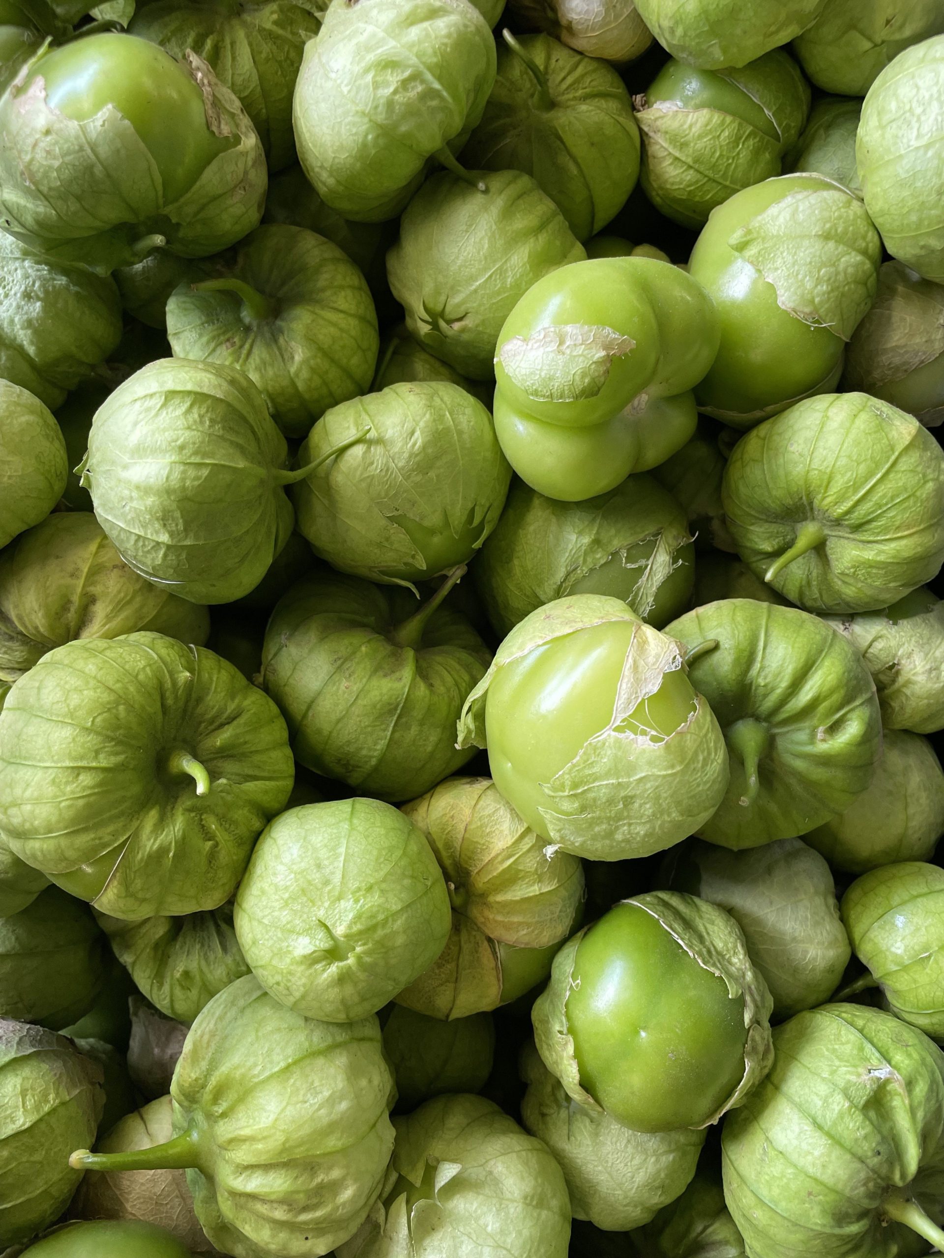 The Tale of the Tomatillo – Mariquita Farm